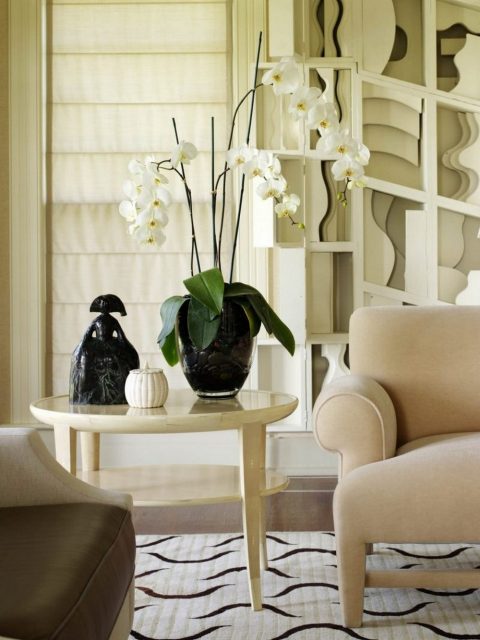 See Why Richard Mishaan Is One Of The Best Interior Designers In NYC